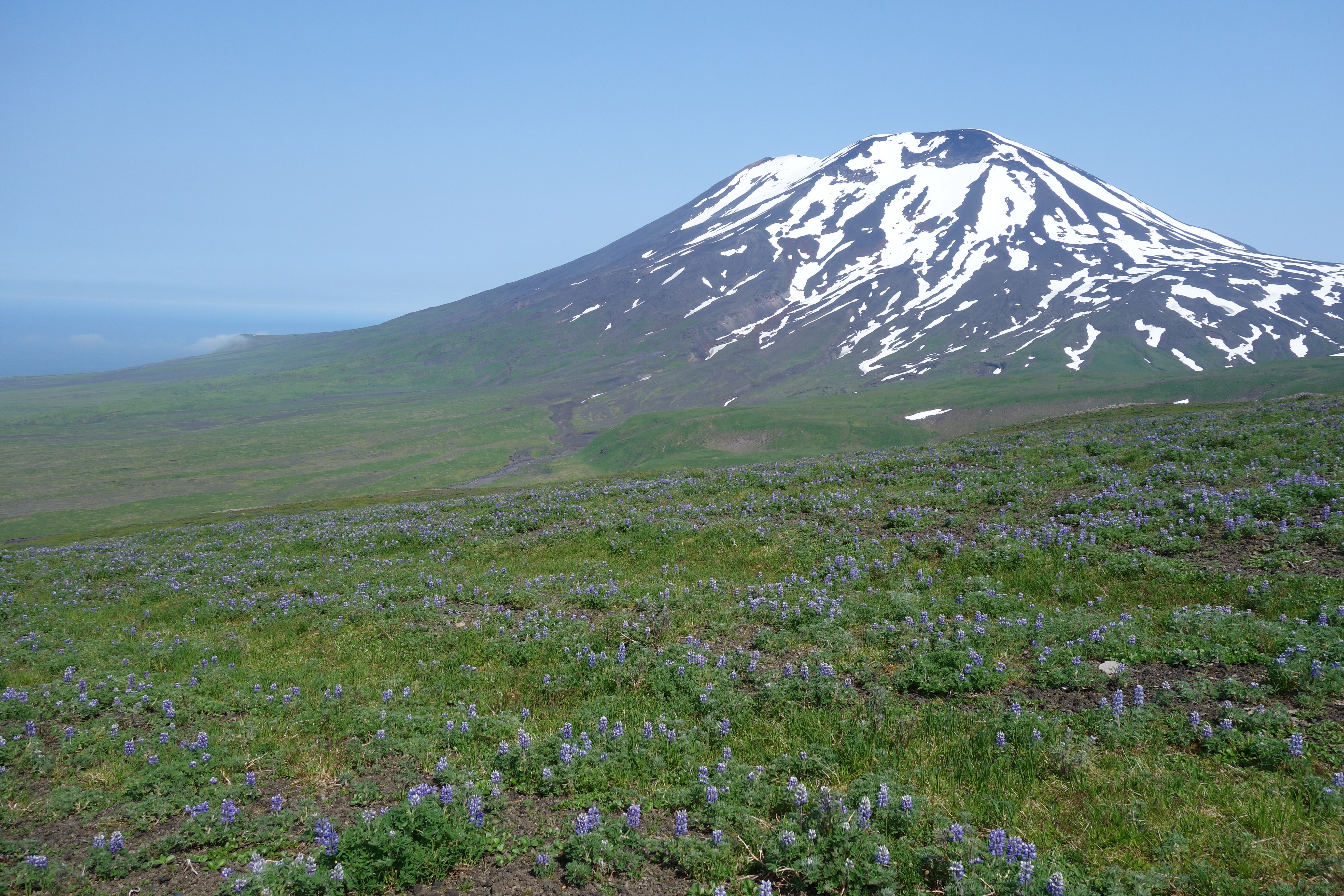 AVO Image 147891: Atka volcanic complex, Korovin