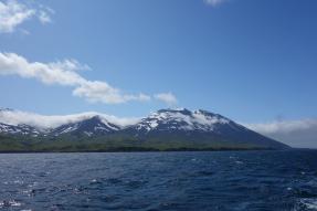 Alaska Volcano Observatory